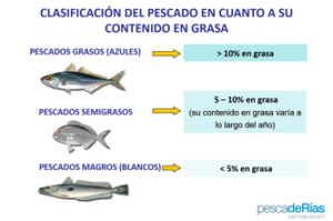 Contenido en grasa de los pescados | pescadeRías Newsletter